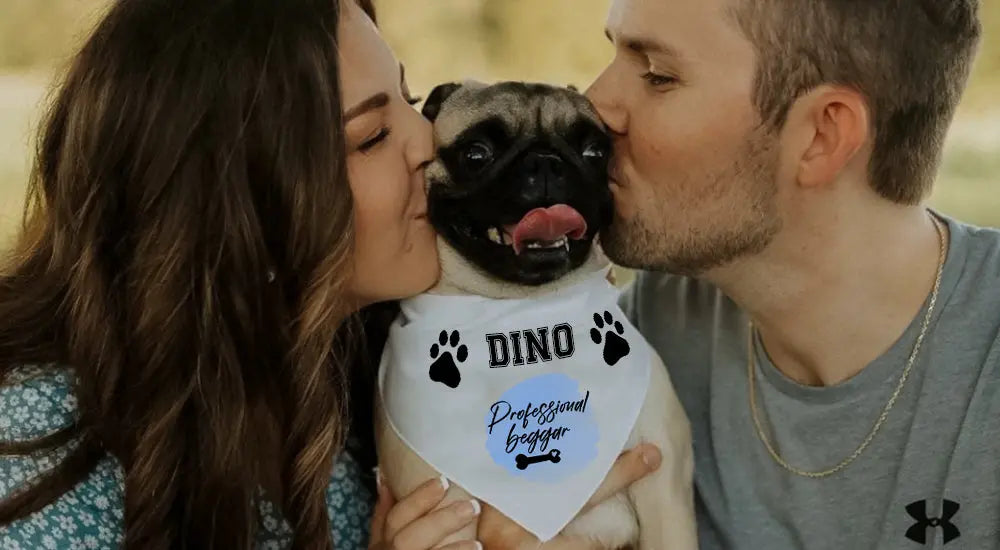 Style & Personality – Graphink Fusion